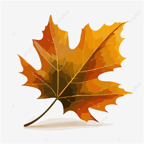 자유 낙하 잎 스티커 클립 아트 3d 메이플 리프 벡터 만화 상표 클립 아트 Png 일러스트 및 벡터 에 대한 무료