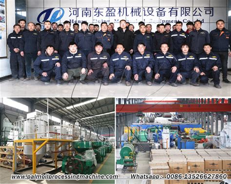 What Types Of Palm Kernel Oil Making Machine Is Suitable For Palm