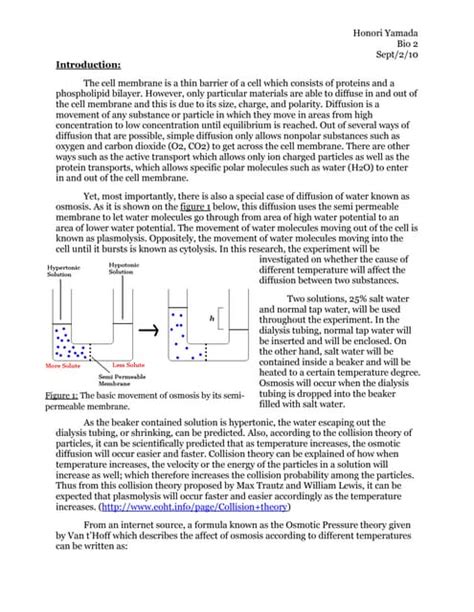 Diffusion Lab Report Pdf