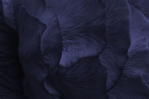 SODAQ Announces Sustainability Aspirations With World Friendly IoT SODAQ