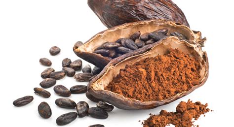 Cocoa Extract Supplement Benefits Cognition In Older Adults With Lower Diet Quality Mass Cocoa Extract Supplement Benefits Cognition In Older Adults With Lower Diet Quality Mass