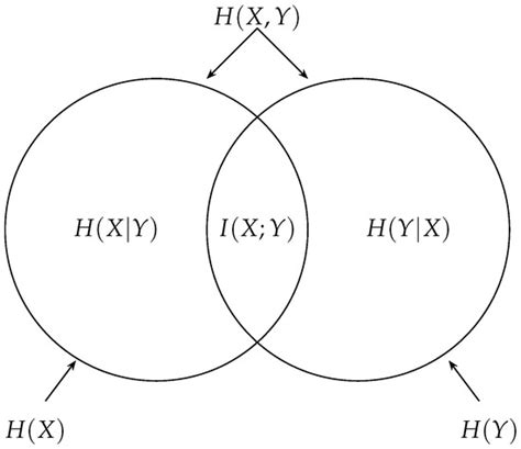 Entropy Special Issue Shannon Entropy Mathematical View