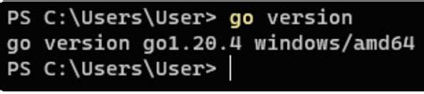 Golang的安装和开发工具安装和环境变量配置go语言入门 基础教程 优科学习网 Yukx体系化学习网