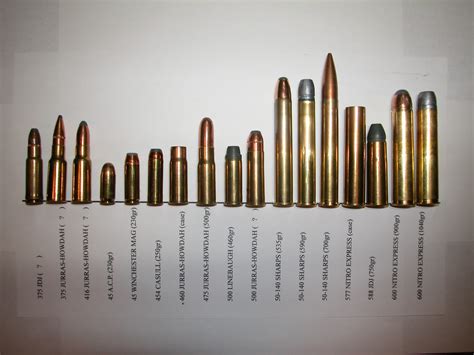 Rifle Ammunition Size Comparison At Alicia Hooks Blog