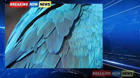 Meet Oaklands New Top Cop The James Beere Era Begins