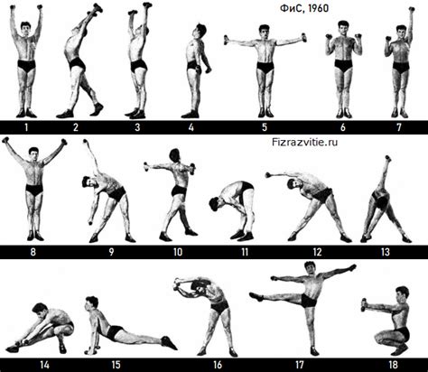 Система сандова упражнения с гантелями в картинках