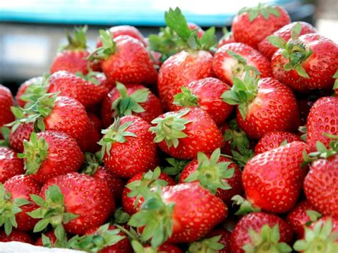 Braškės Masevičiaus įmonė Girios