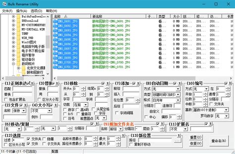 轻松批量改名，高效管理文件——批量文件重命名工具 Bulk Rename Utility 64位 汉化版 幕后muhou