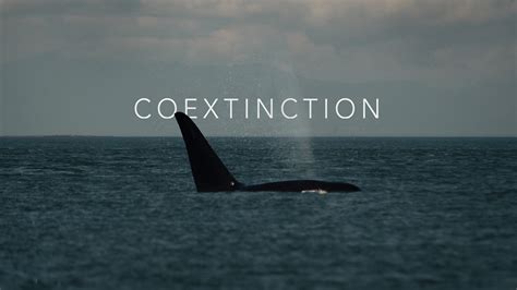 Coextinction Produ