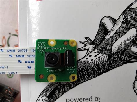 Raspberry Pi V2 Camera Not Recognized Jetson Nano Nvidia Developer Forums