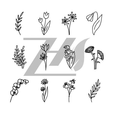 دانلود مجموعه شاخه گل های رنگ مشکی دانلود رایگان فایل لایه باز، Psd، وکتور، لوگو و موکاپ