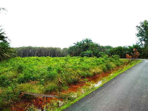 Jalan Yong Peng Johor Property For Sale On Carousell