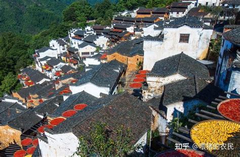 江西这些名酒以前明明很火如今为何销声匿迹原因让人惊讶 知乎