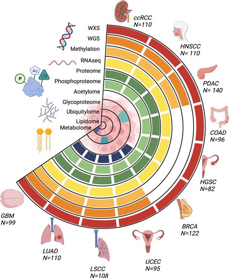 Proteogenomic Data And Resources For Pan Cancer Analysis Cancer Cell