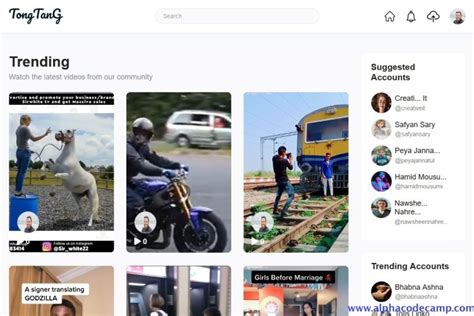 Complete Short Video Sharing Platform Using Php Get Downloadable Web