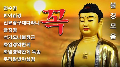 【소원성취기도】금전운 소원을 들어주는 불경천수경반야심경신묘장구대다라니 🌷🌷🌷 동담스님 Youtube
