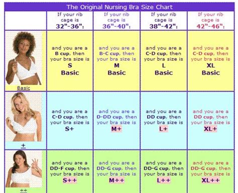 14 Best Bra Size Chart Images On Pinterest Bra Size Charts Bra Sizes
