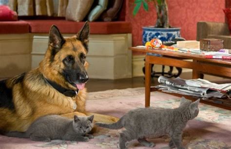 Детские фильмы про животных