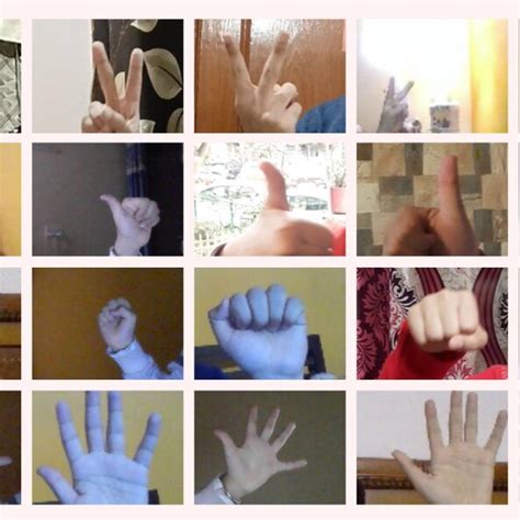 Real Time Hand Gesture Recognition Using Multiple Deep Learning