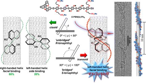 手性、离子、半导体聚合物对单壁碳纳米管的单手螺旋缠绕journal Of The American Chemical Society X Mol