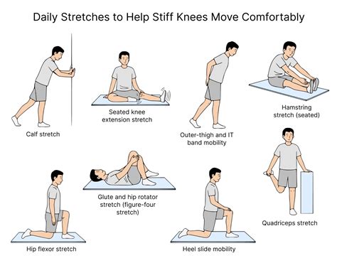 Knee Muscle Stretching Exercises 2026