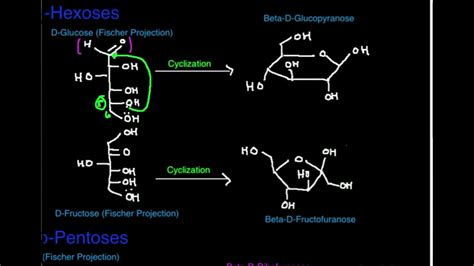 Aldohexose Cyclic Form