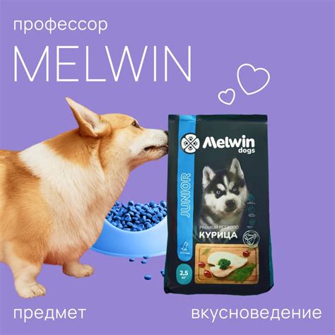 Премиальный корм для животных Melwin | ВКонтакте