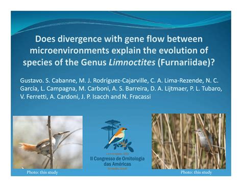 Pdf Does Divergence With Gene Flow Between Microenvironments Explain