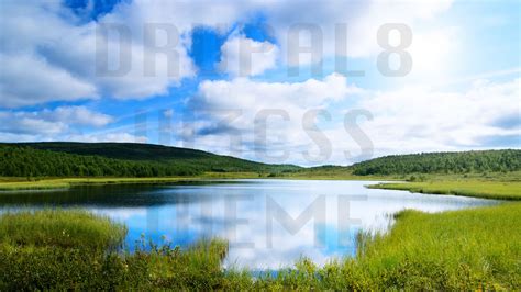 W3css Theme Vivid Colors Library Georgetown Tx