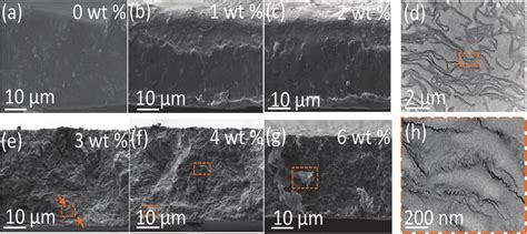 Cross Sectional Sem Micrographs Of Cleaved Samples Of A Plain Phb And