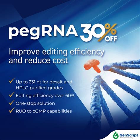 Pegrna Ruo Cgmp Primeediting Geneediting Biotech Genscript