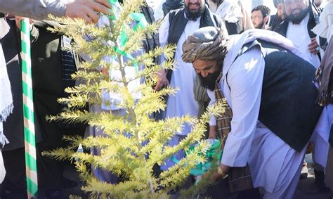 Tree Planting Drive Kicked Off To Make Kabul City Even Greener The