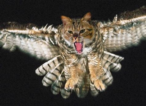 How To Convert Any Character To The Atomic RPG System Atomic RPG System