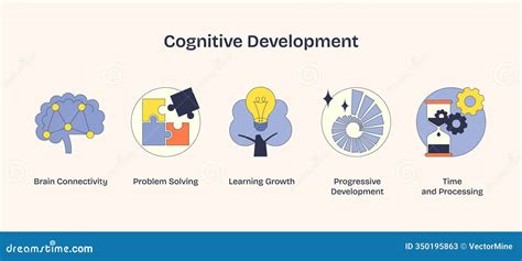 Cognitive Development Progress Stages By Age Vector Illustration