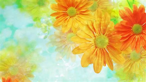 밝은 노란색 꽃 배경화면 Phoneky에서 모바일로 다운로드