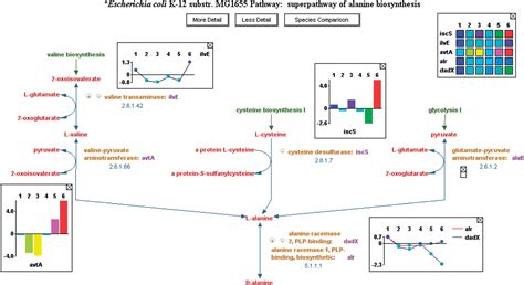 Figure 1 From The Metacyc Database Of Metabolic Pathways And Enzymes