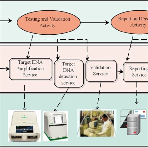 Diagnostic Virology Laboratory Procedure Download Scientific Diagram