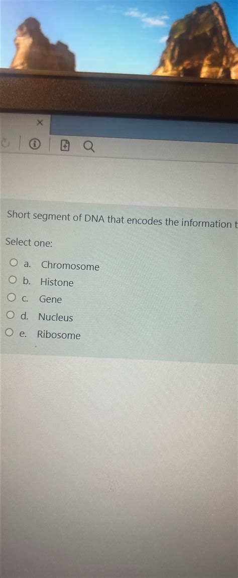 Solved Short Segment Of DNA That Encodes The Chegg