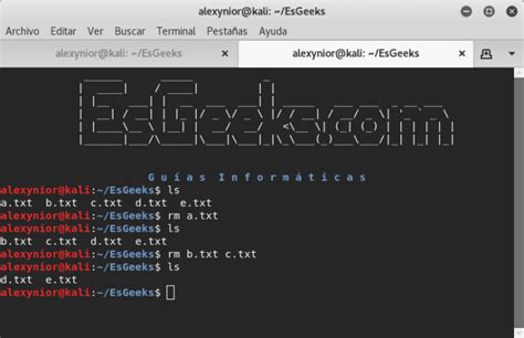 Usos Del Comando Rm En Linux Con Ejemplos Esgeeks