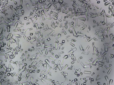 Sample Dataset Instance Segmentation Dataset By Phm Phc Bnh