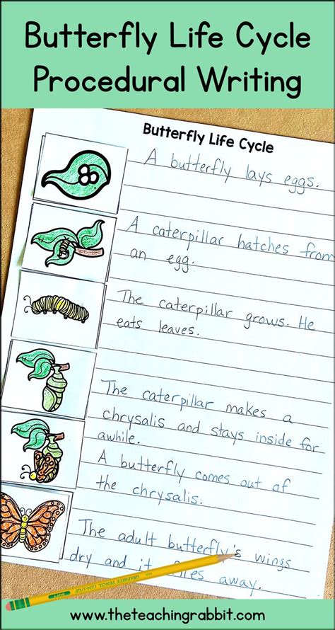 Butterfly Life Cycle Cut And Paste Writing Activity And Booklet In 2024 Writing Activities