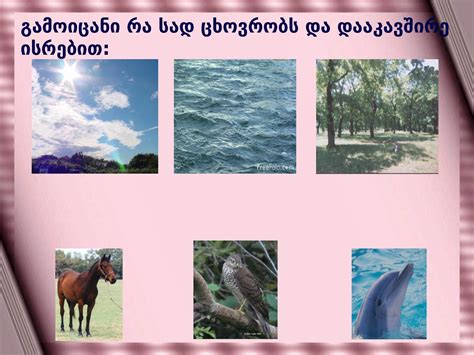 ასო ბგერა „ზ“ Calameo Downloader