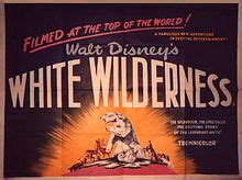White Wilderness Lemmings