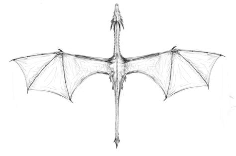 Рисунок крылья дракона 49 фото скачать бесплатно