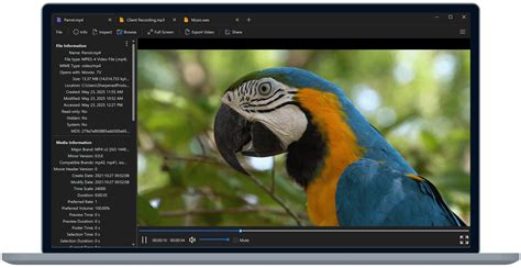 File Viewer Plus 6 Open 400 File Formats On Your Windows Pc