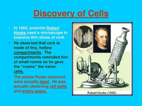 Ppt Discovery Of Cells Powerpoint Presentation Free Download Id9435147