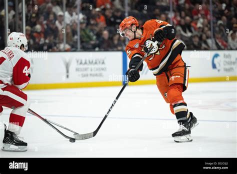 Anaheim Ducks Right Wing Beckett Sennecke 45 Shoots As Detroit Red