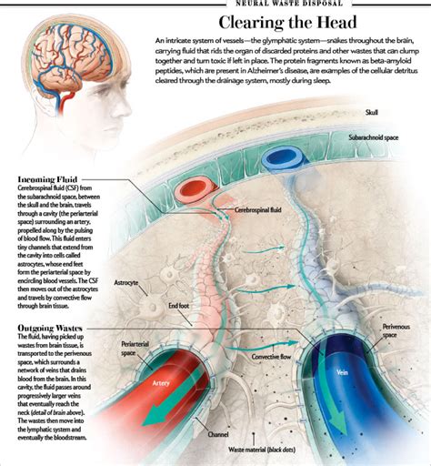 Bring Out The Glymph Noigroup