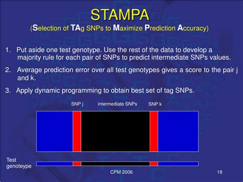 ppt snp and haplotype analysis algorithms and applications powerpoint