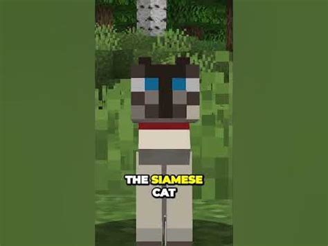 This Is The Rarest Cat In Minecraft Youtube